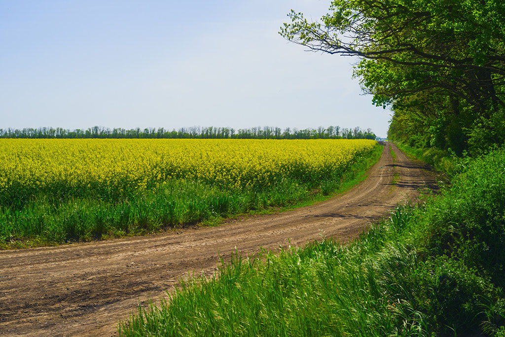 Ukrainian Farmland Seized – Propaganda Department